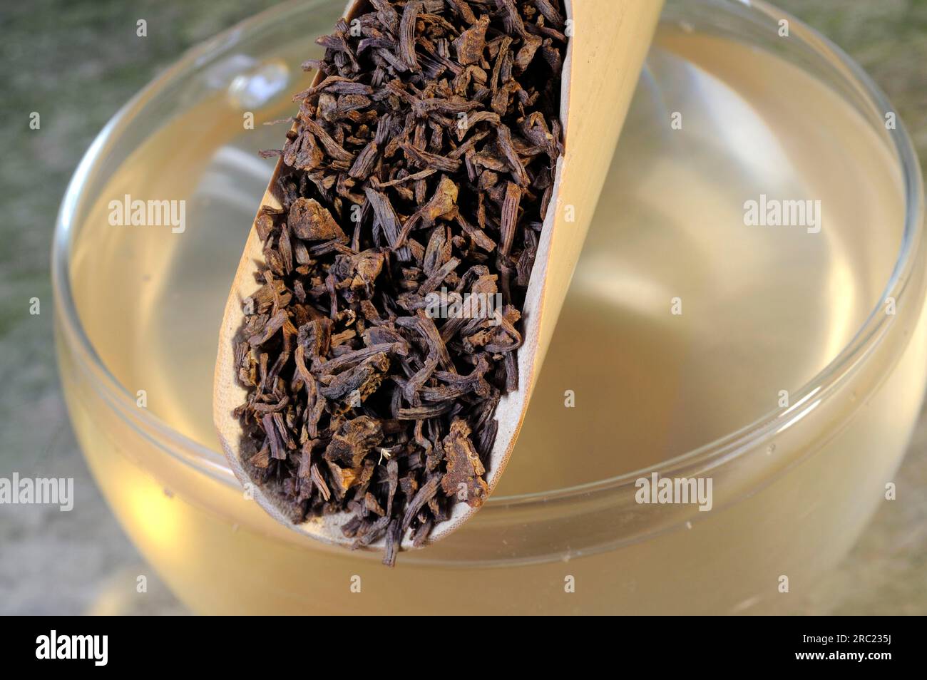 Cup of aster root tea (Asteris Radix), Zi Wan, aster root tea Stock ...