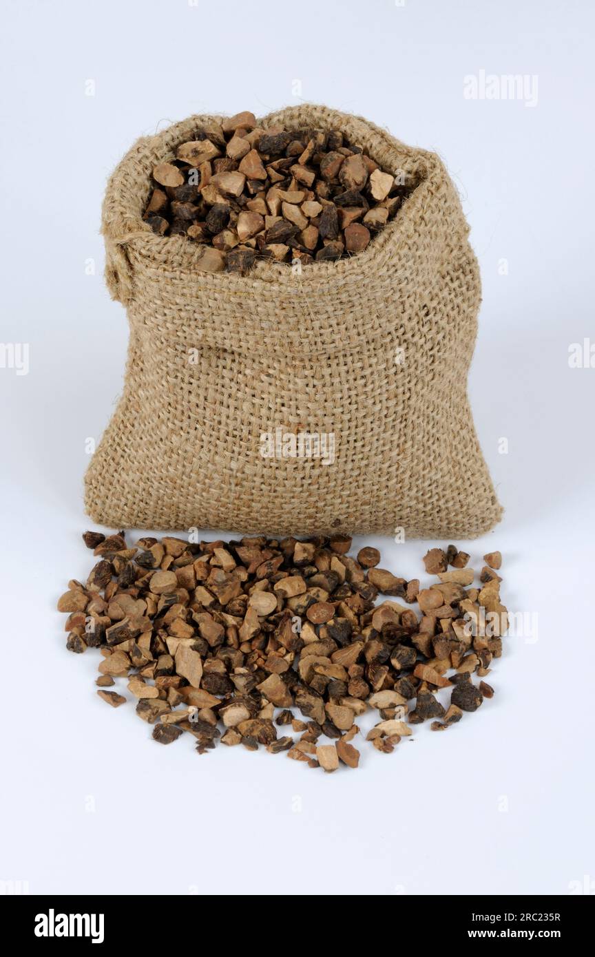 Nutgrass rhizome (Cyperi Rhizoma), Xiang Fu, cut out, object Stock ...