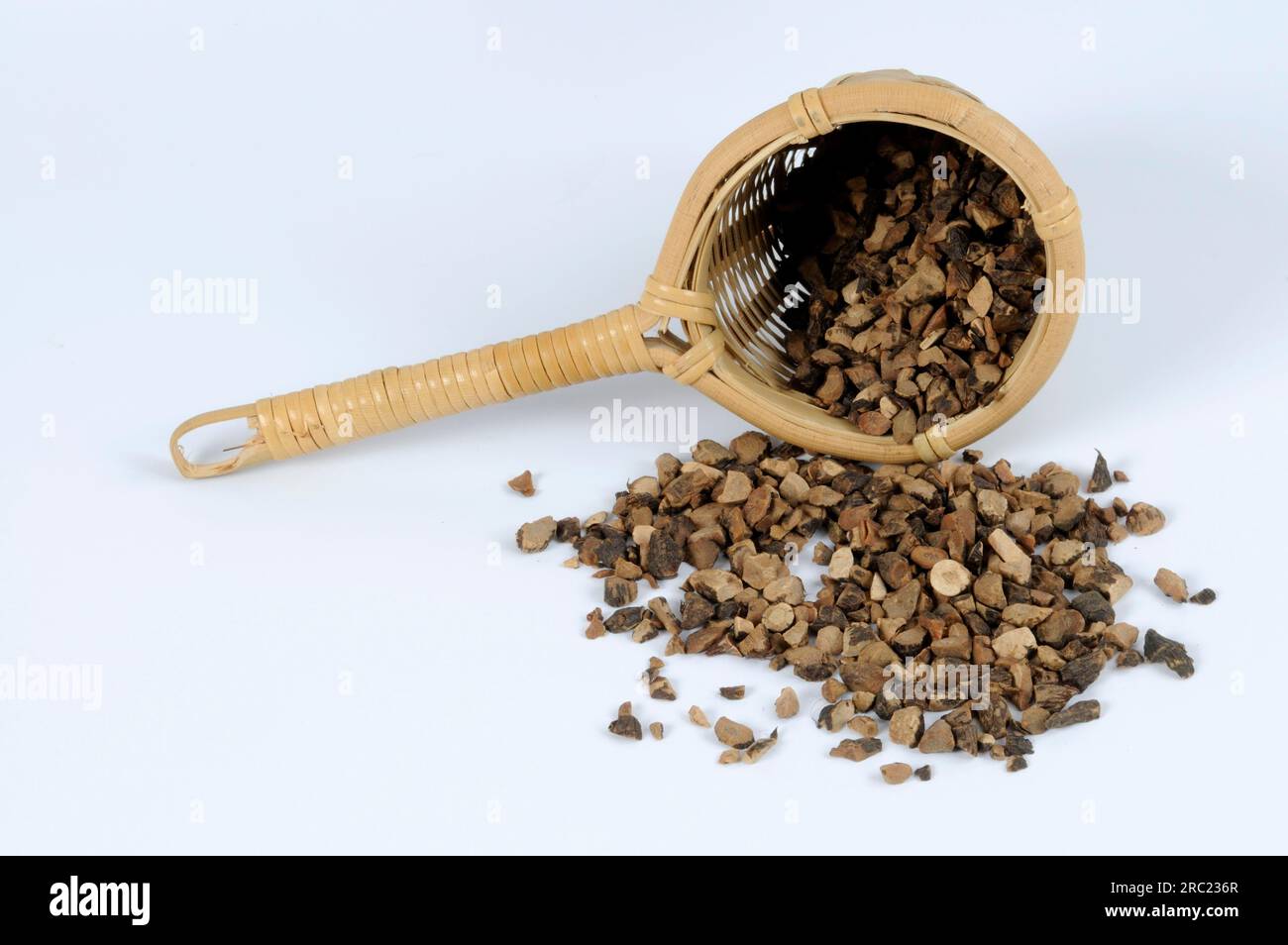 Nutgrass rhizome (Cyperi Rhizoma), Xiang Fu, cut out, object Stock ...