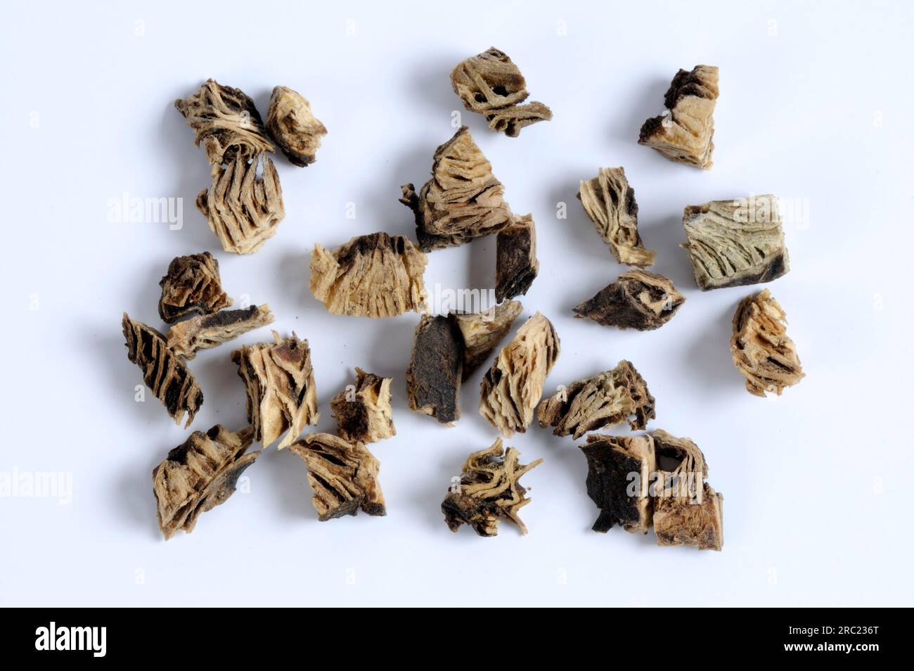 Silver primrose rhizome (Cimicifugae rhizoma), Sheng Ma, cut out ...
