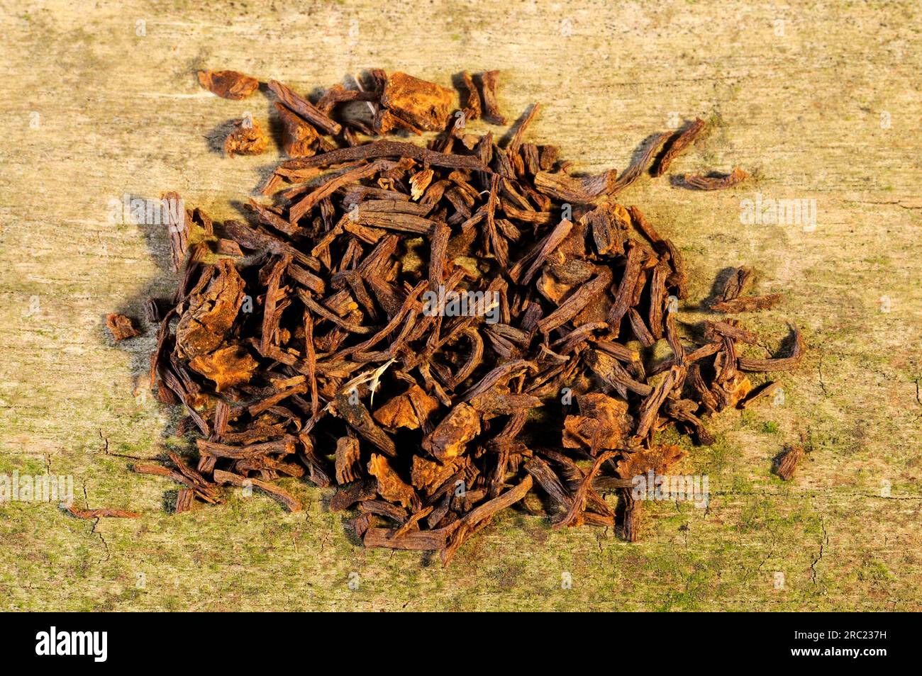 Tatar aster root (Asteris Radix), Zi Wan Stock Photo - Alamy