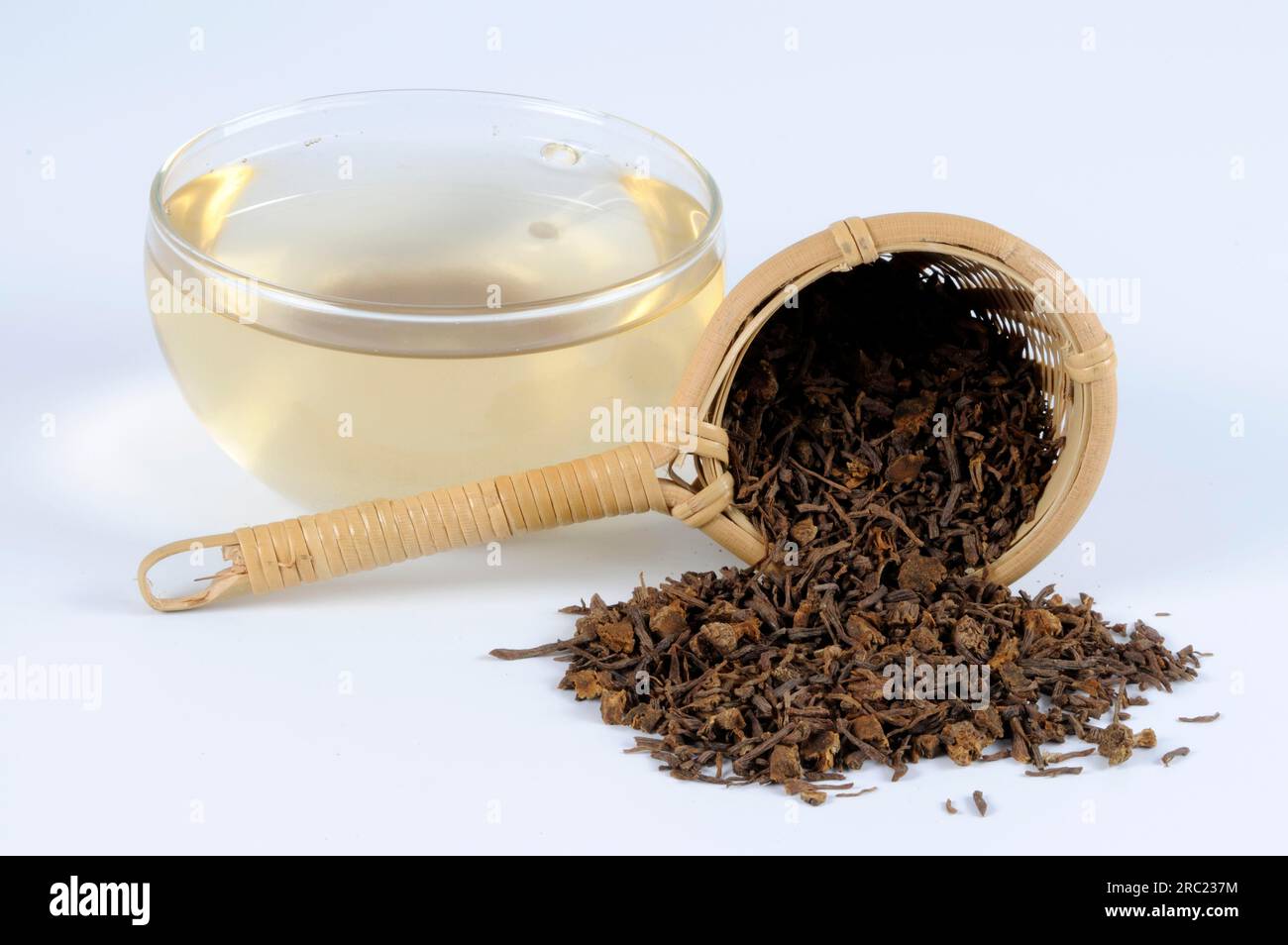 Cup of aster root tea (Asteris Radix), Zi Wan, aster root tea Stock ...