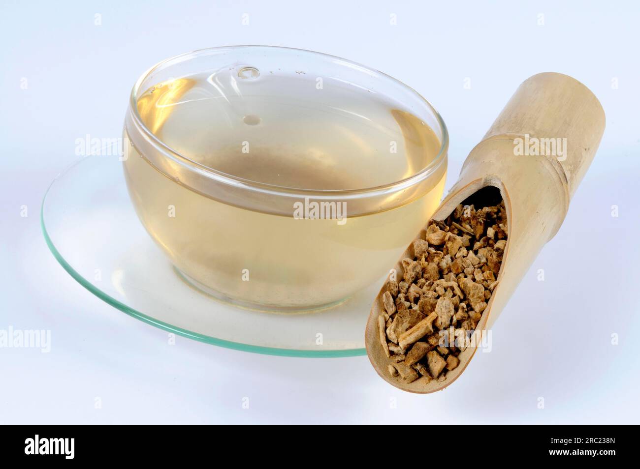 Cup of Big-Headed Atractylodis Rhizome Tea (Atractylodis macrocephalae ...