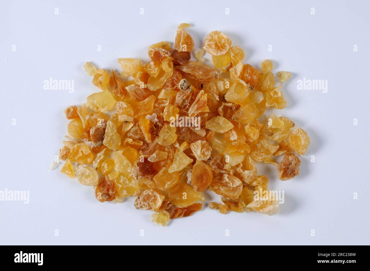 Chinese leek (Alli Macrostemi bulbus), Xie Bai, cut out, object Stock ...