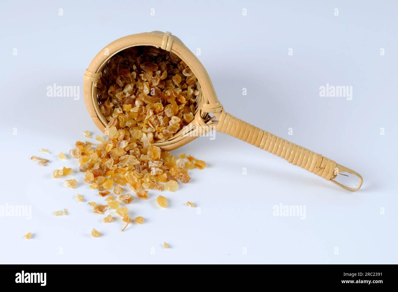 Chinese leek (Alli Macrostemi bulbus), Xie Bai, cut out, object Stock ...