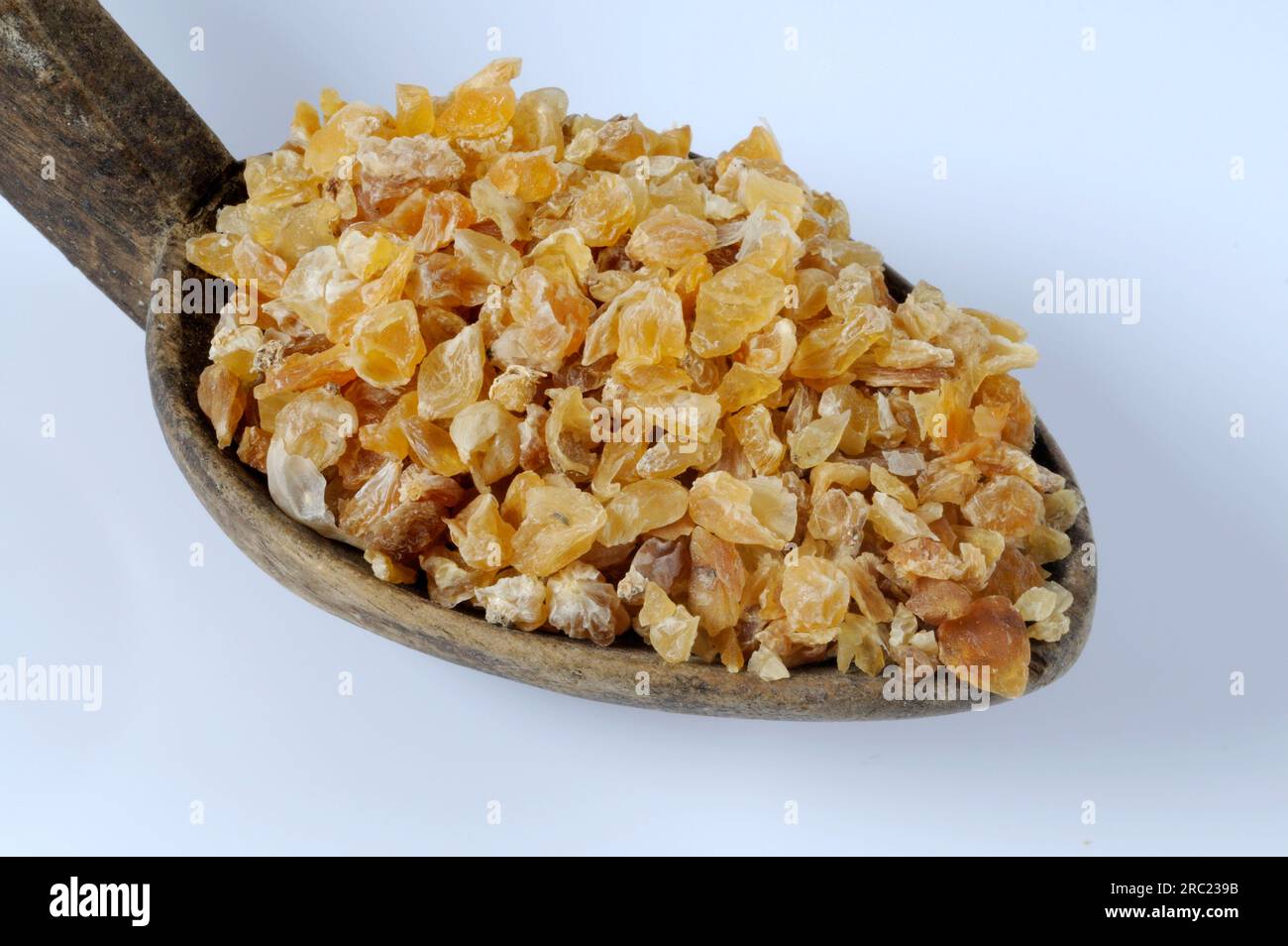 Chinese leek (Alli Macrostemi bulbus), Xie Bai Stock Photo - Alamy
