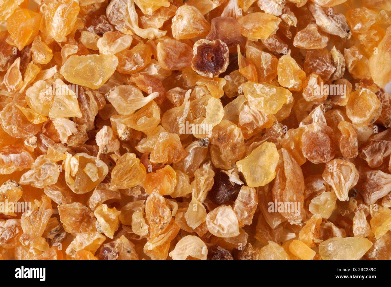 Chinese leek (Alli Macrostemi bulbus), Xie Bai Stock Photo - Alamy