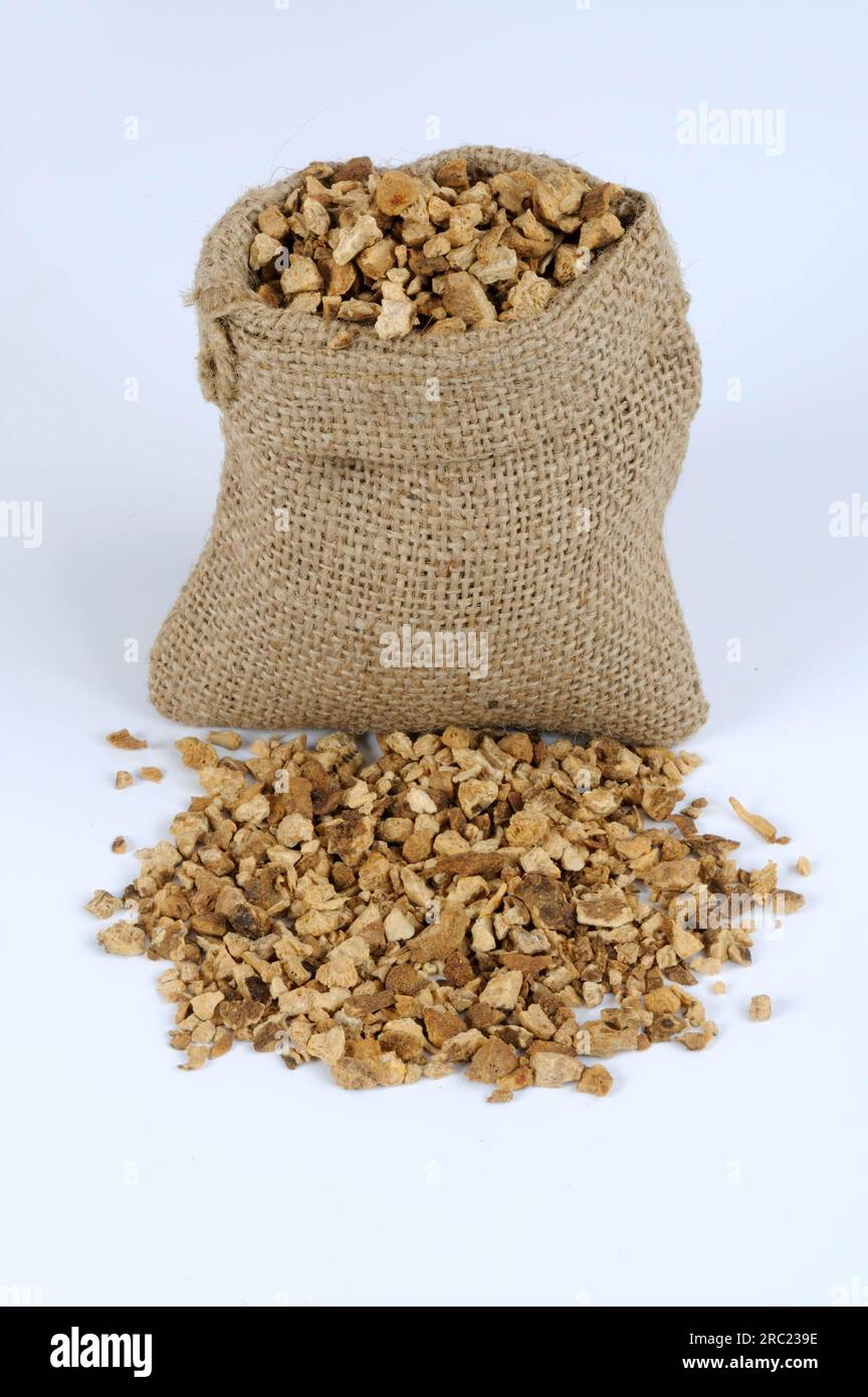 Large-headed Atractylodes root (Atractylodis macrocephalae Rhiz.), Bai ...