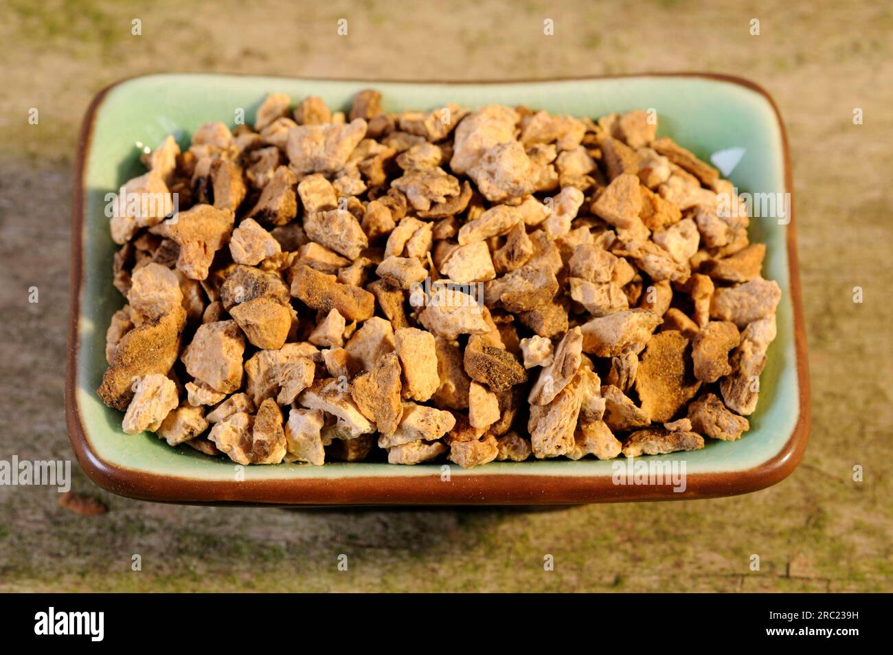 Large-headed atractylodes rhizome (Atractylodis macrocephalae rhizome ...