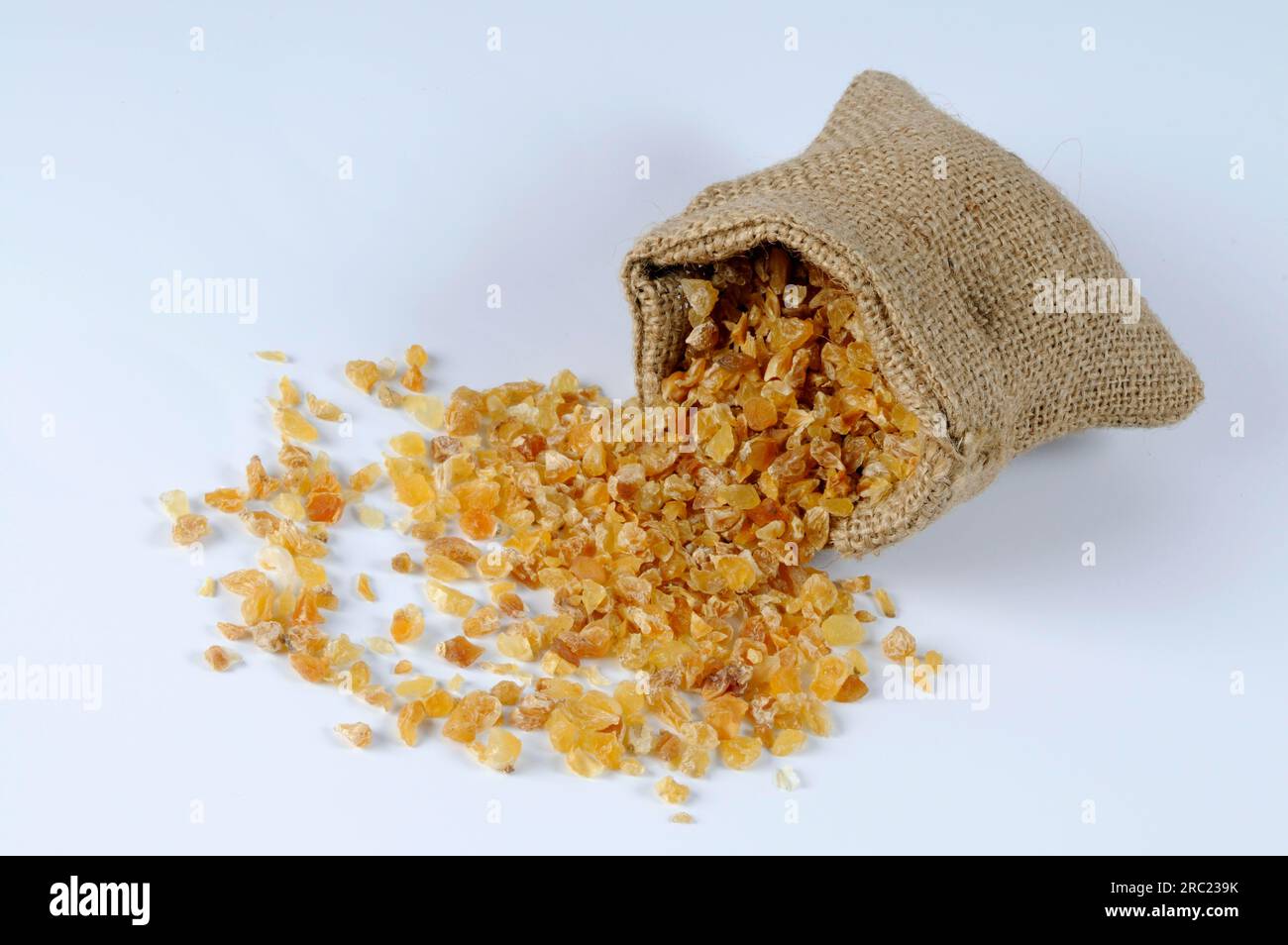 Chinese leek (Alli Macrostemi bulbus), Xie Bai, cut out, object Stock ...