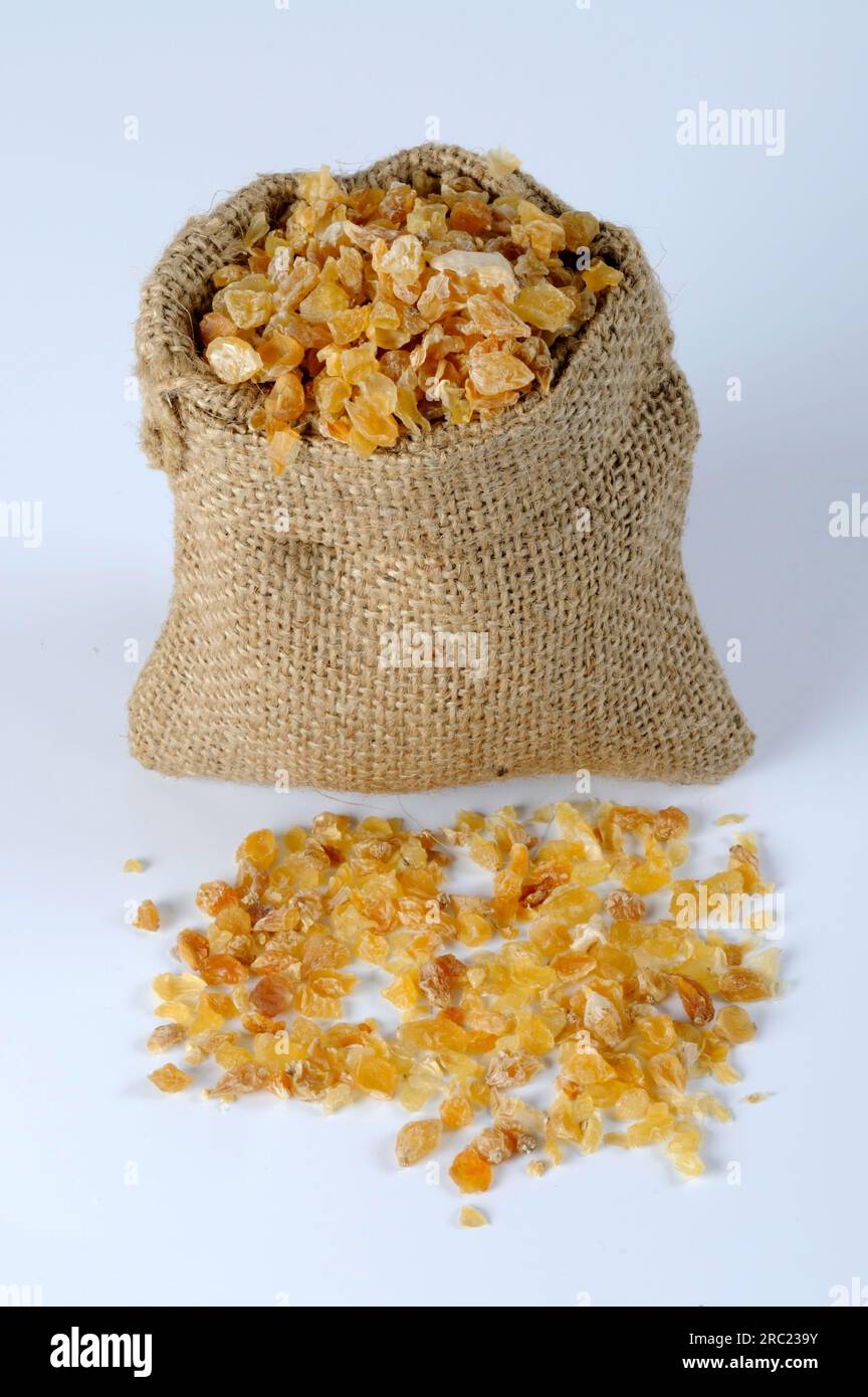 Chinese leek (Alli Macrostemi bulbus), Xie Bai, cut out, object Stock ...