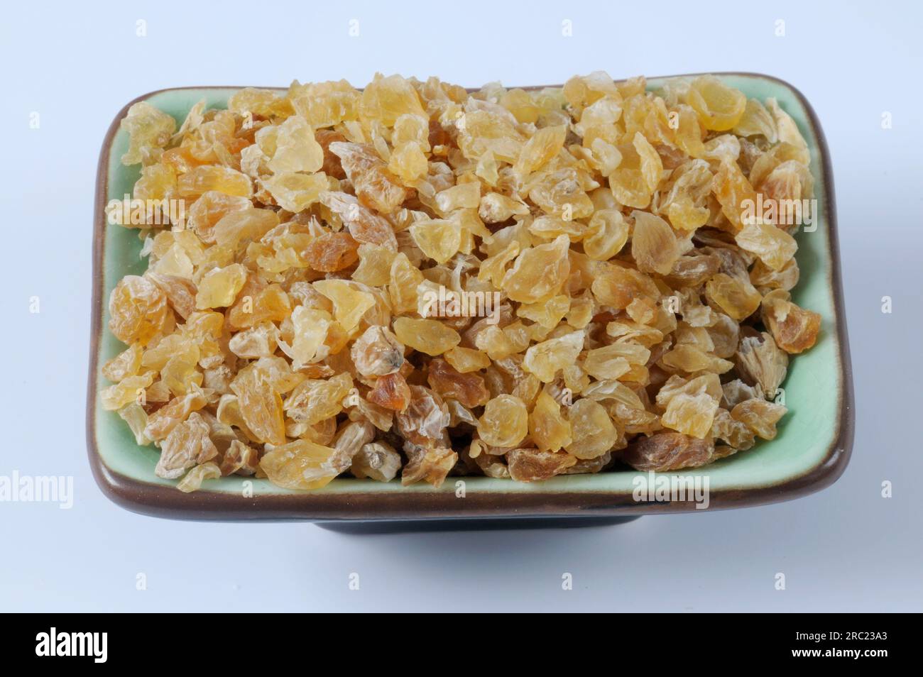 Chinese leek (Alli Macrostemi bulbus), Xie Bai, cut out, object Stock ...