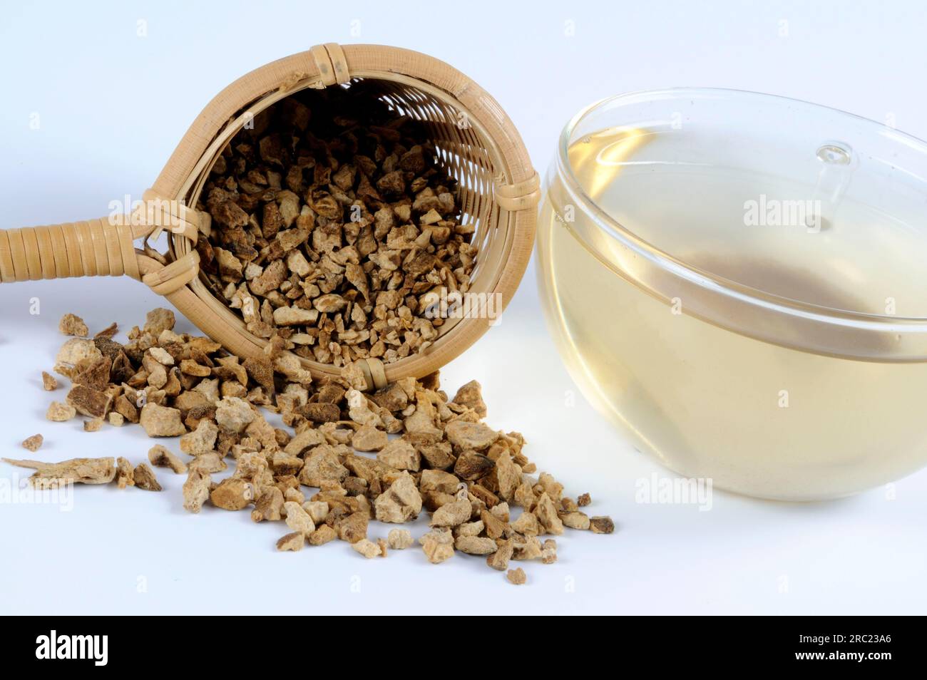 Cup of Big-Headed Atractylodis Rhizome Tea (Atractylodis macrocephalae ...