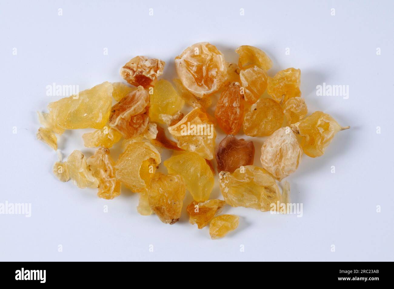 Chinese leek (Alli Macrostemi bulbus), Xie Bai, cut out, object Stock ...