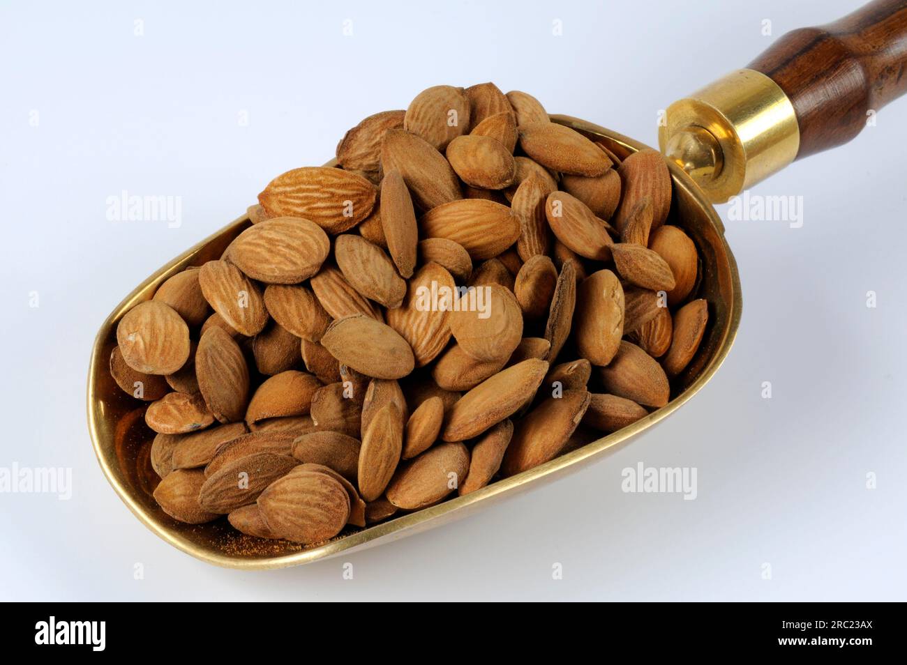 Peach seed (Persicae Semen), Tao Ren Stock Photo - Alamy