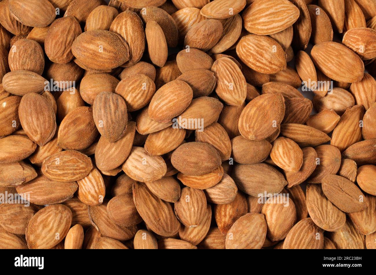 Peach seed (Persicae Semen), Tao Ren Stock Photo - Alamy