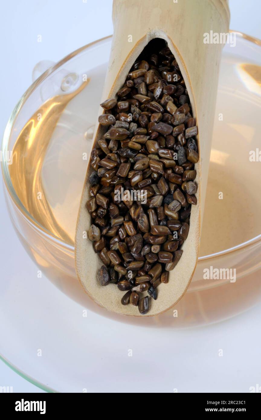 Ming tea cup hi-res stock photography and images - Alamy