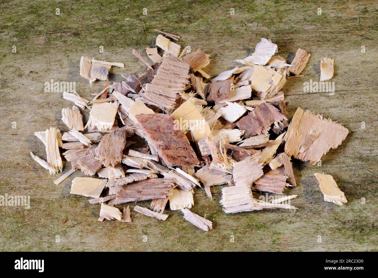 Soap bark (Quillajae cortex), quillajae bark, wash bark, wash wood ...