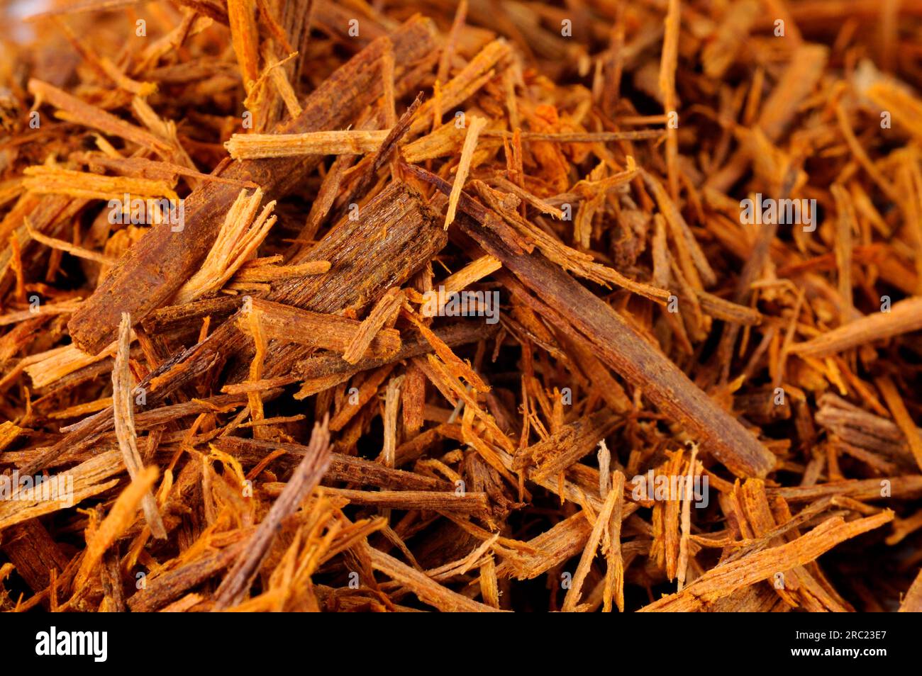 Redwood, splinter (Lignum fernambuci), redwood tree, dyeing plant Stock ...