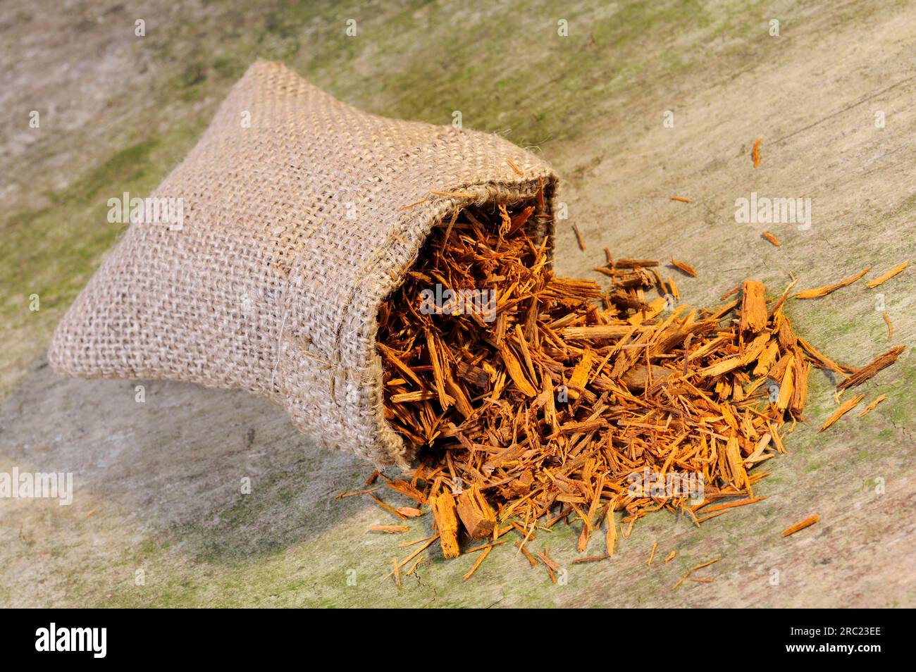 Redwood, splinter (Lignum fernambuci), redwood tree, dyeing plant Stock ...