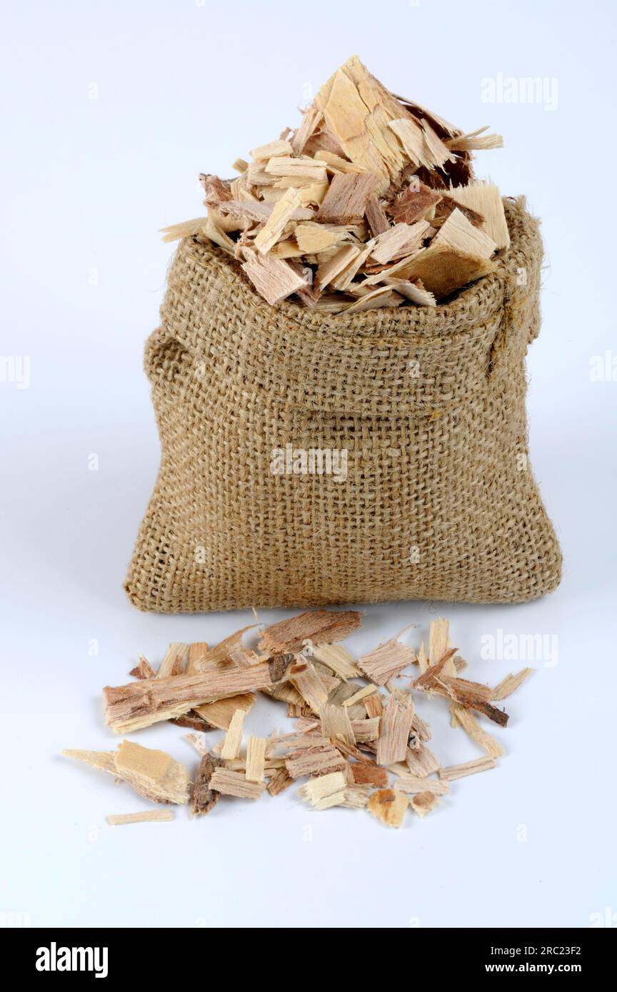 Soap bark (Quillajae cortex), Quillajae bark, wash bark, wash wood ...