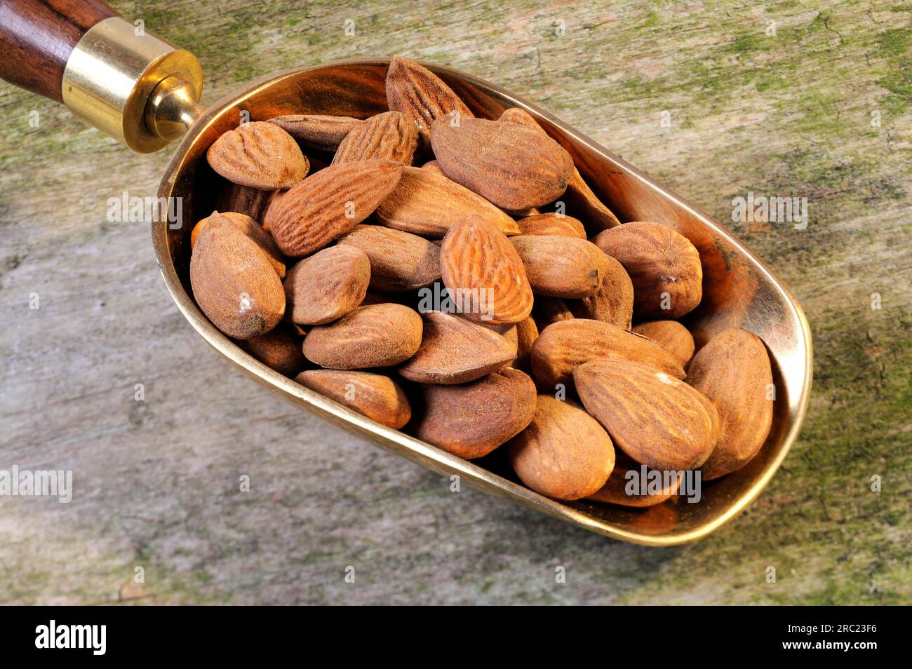 Bitter almond prunus amygdalus almond hi-res stock photography and ...