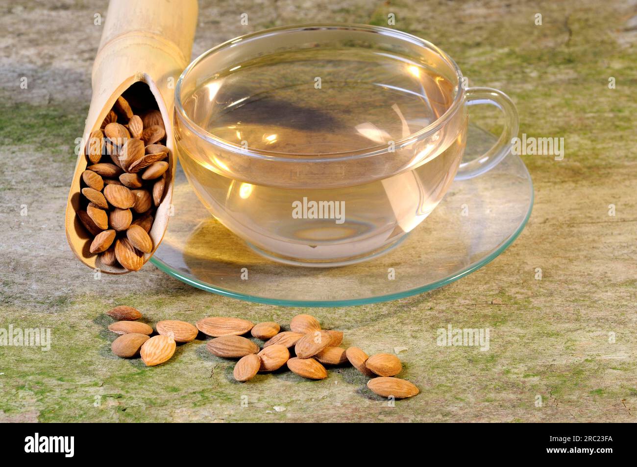 Peach Seed Tea (Persicae Semen) Cup, Tao Ren, Peach Seed Tea Stock ...