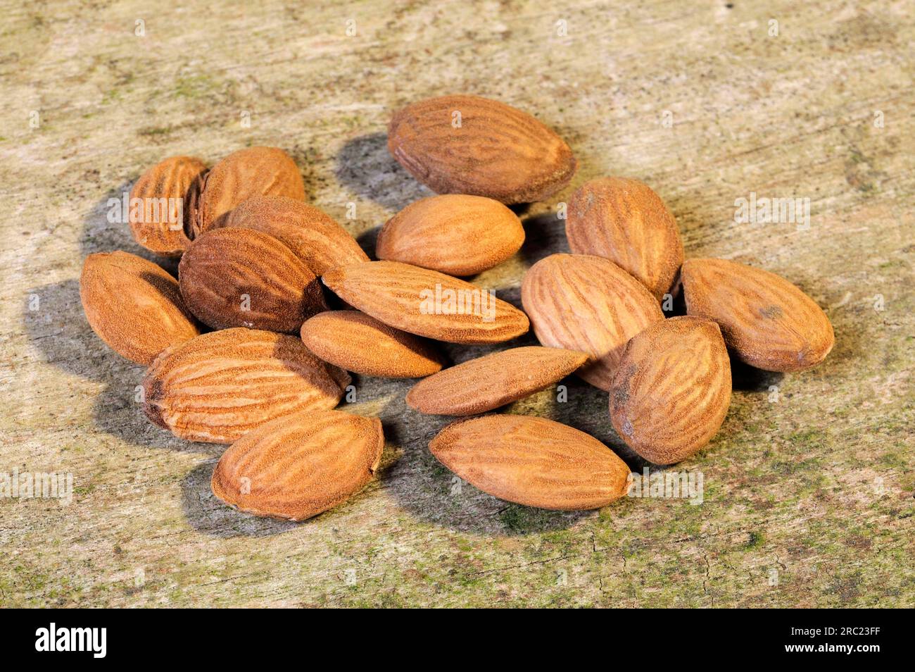 Peach seed (Persicae Semen), Tao Ren Stock Photo - Alamy