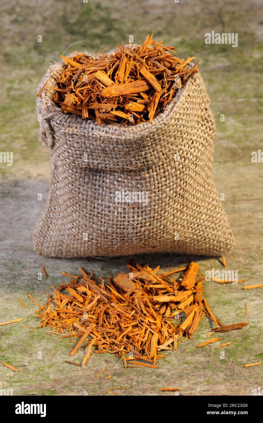 Redwood, splinter (Lignum fernambuci), redwood tree, dyeing plant Stock ...