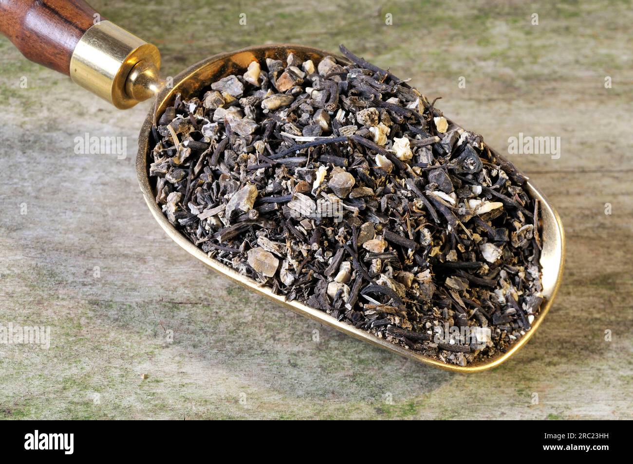 Black Cohosh (Rhizoma Cimicifugae) (Cimicifuga racemosa), Black Snake ...