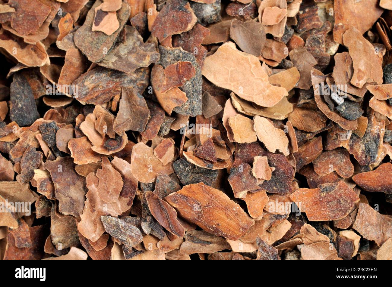 Cocoa shells (Cortex Cacao) (Theobroma cacao), theobromine Stock Photo ...