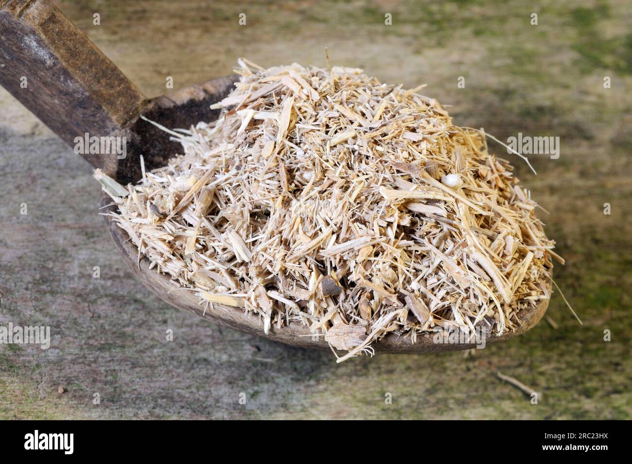 Taiga root (Radix Eleutherococci), devil's bush, prickly panax ...