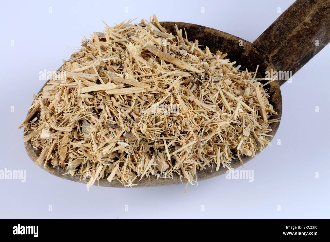 Eleutherococcus (siberian ginseng) hi-res stock photography and images ...