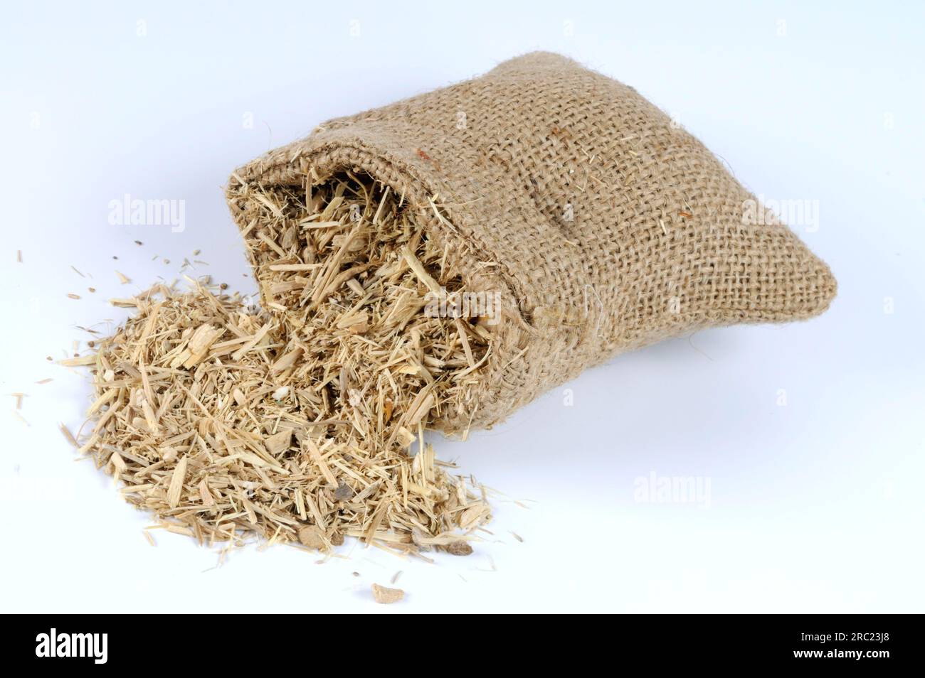 Taiga root (Radix Eleutherococci), devil's bush, prickly panax ...