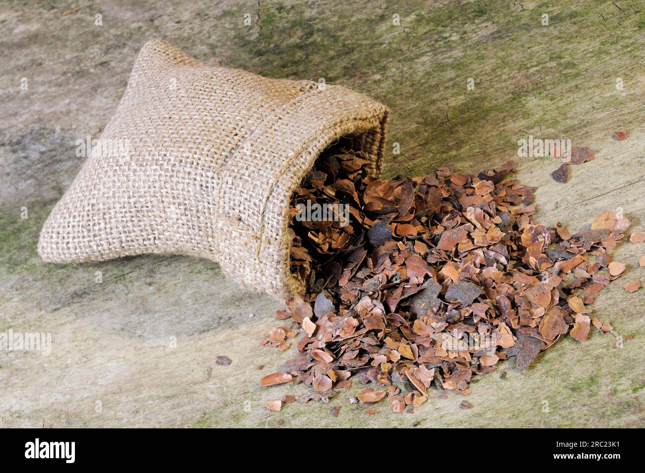 Cortex cacao hi-res stock photography and images - Alamy