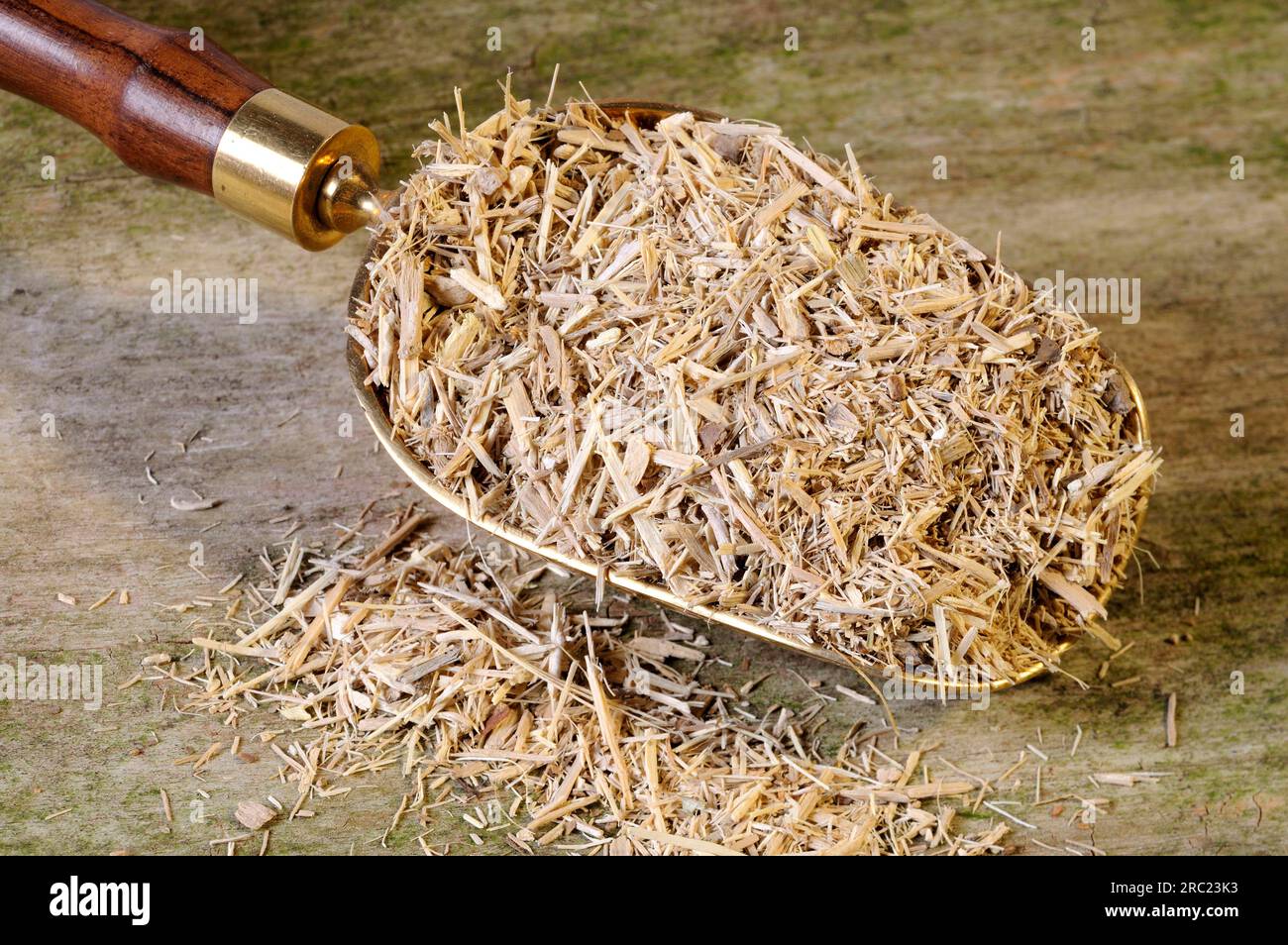 Taiga root (Radix Eleutherococci), devil's bush, prickly panax ...