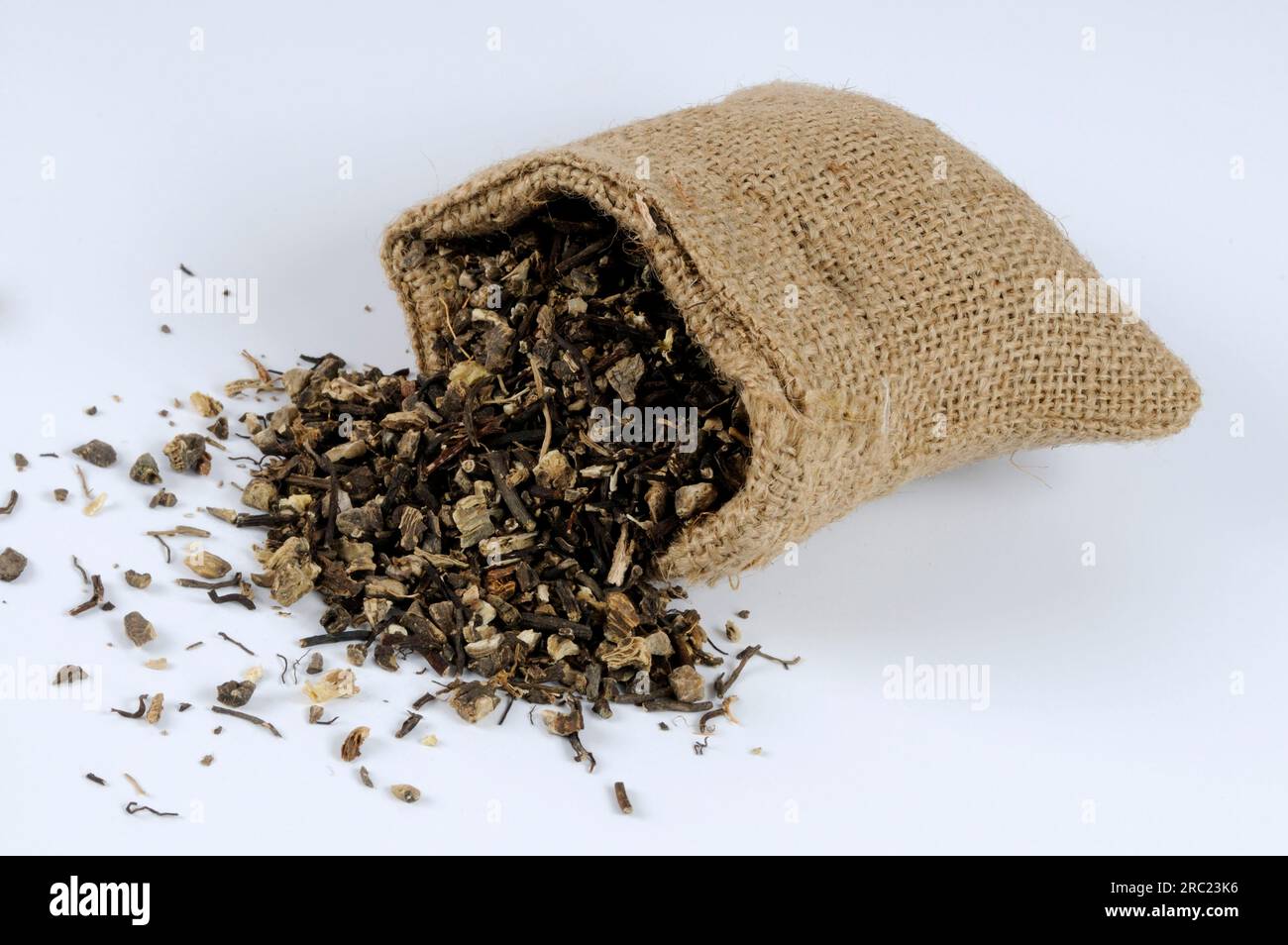 Black Cohosh (Rhizoma Cimicifugae) (Cimicifuga racemosa), Black Snake ...