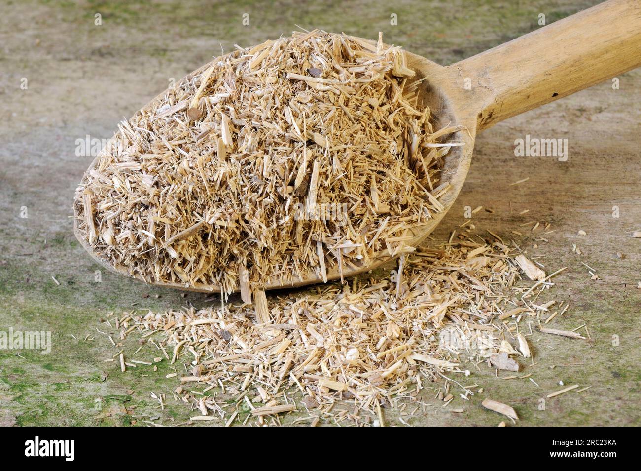 Taiga root (Radix Eleutherococci), devil's bush, prickly panax ...