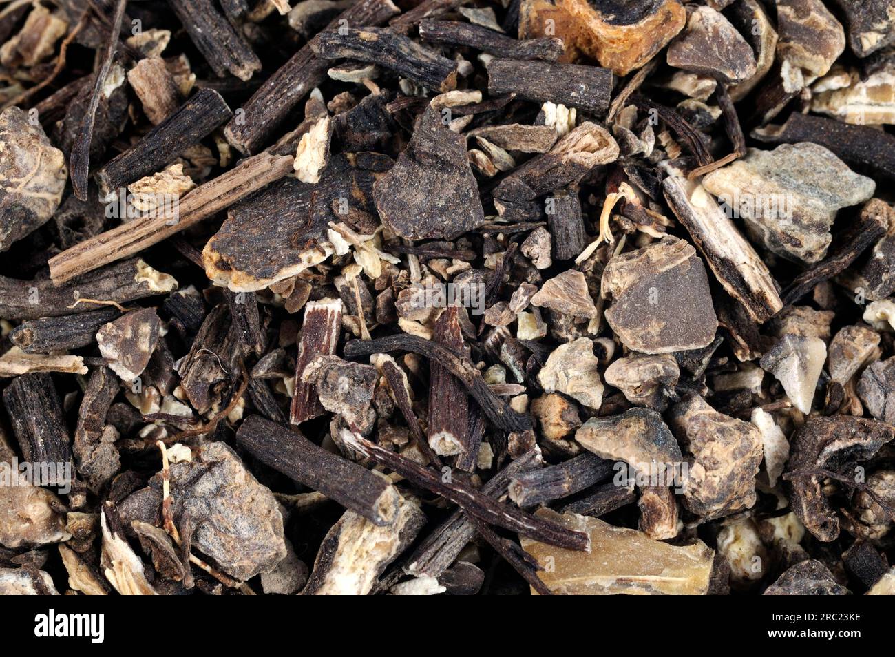 Black Cohosh (Rhizoma Cimicifugae) (Cimicifuga racemosa), Black Snake ...