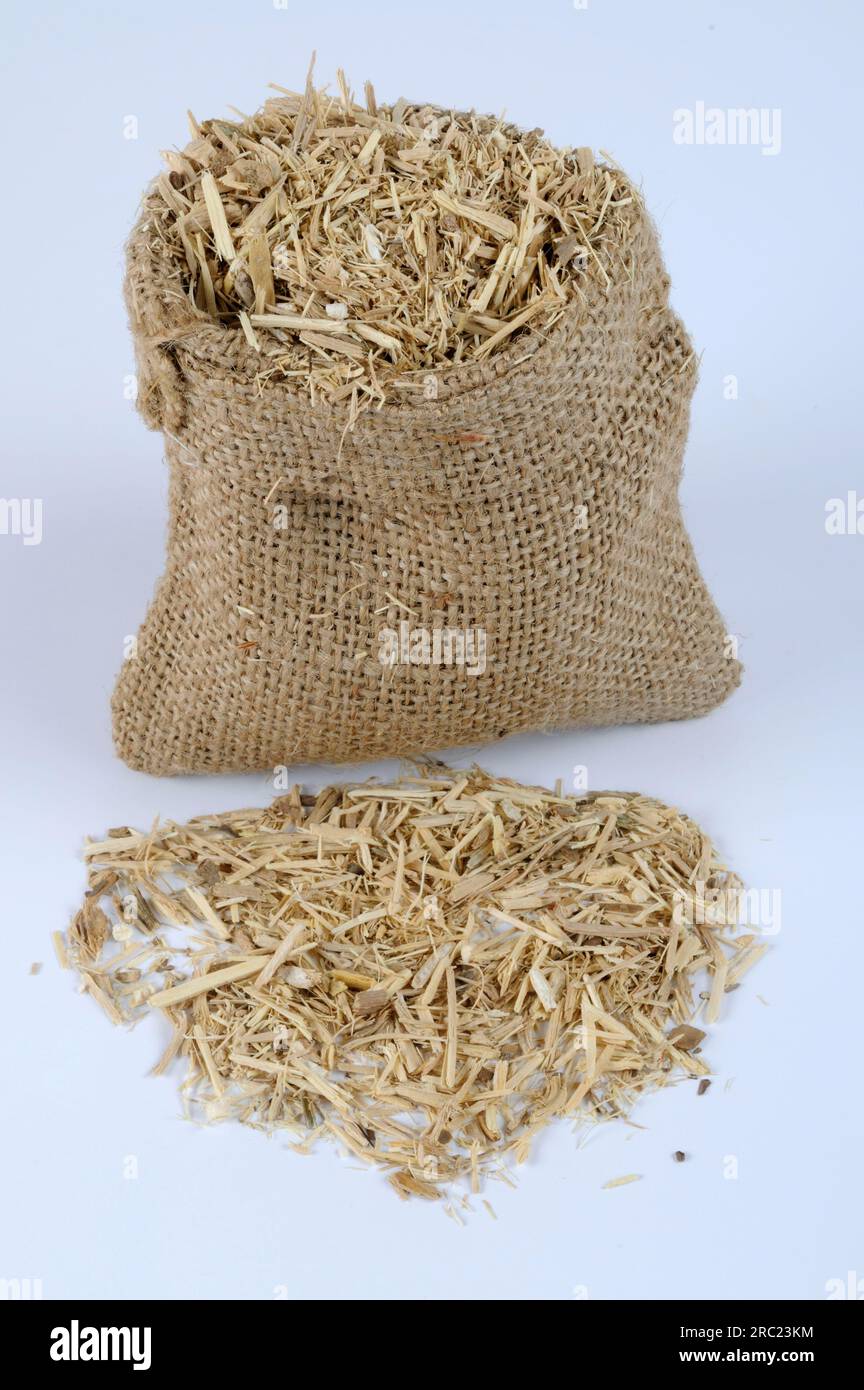 Taiga root (Radix Eleutherococci), devil's bush, prickly panax ...