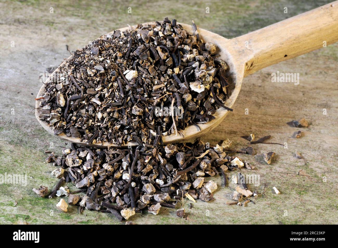 Black Cohosh (Rhizoma Cimicifugae) (Cimicifuga racemosa), Black Snake ...
