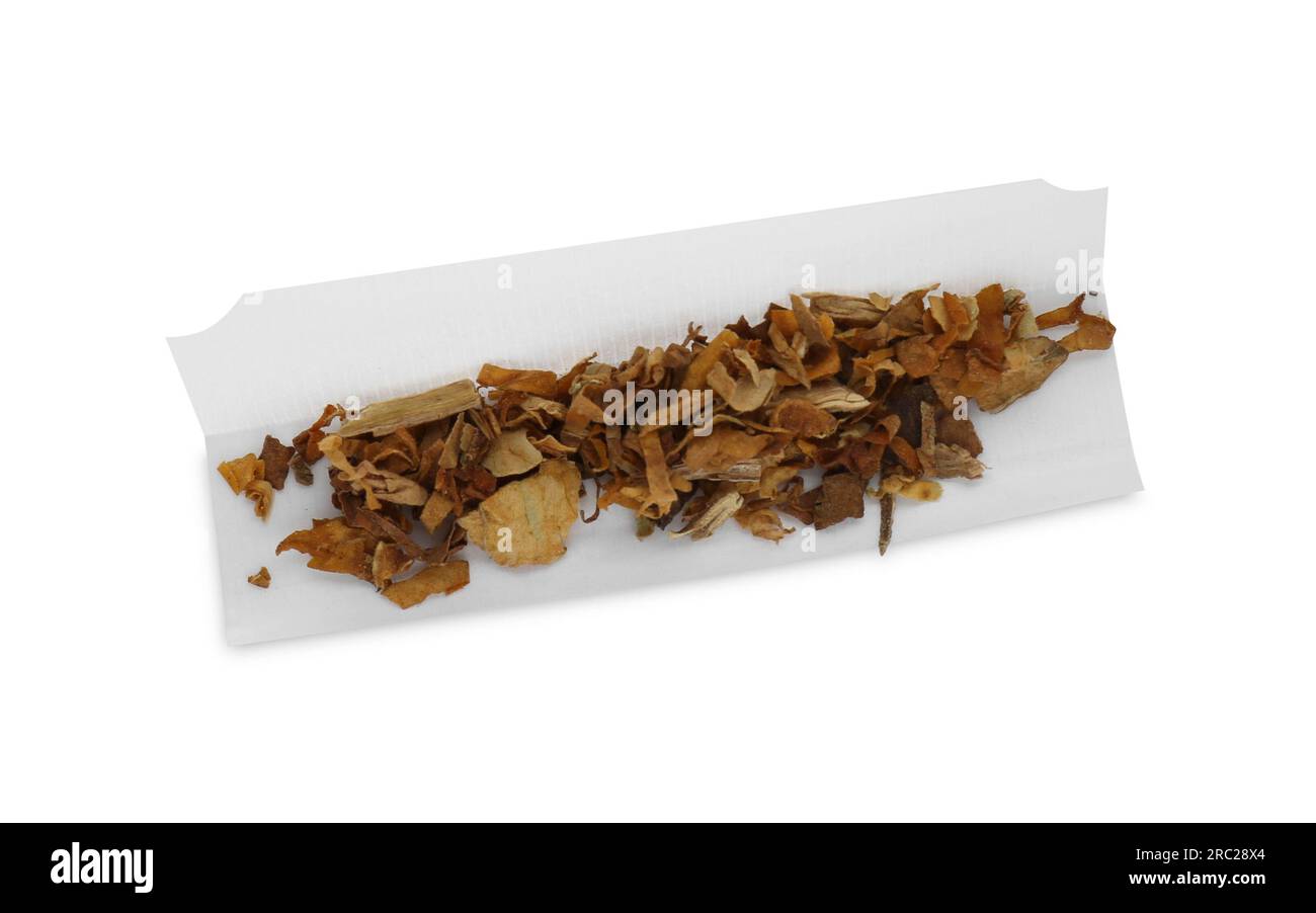 Making hand rolled cigarette. Paper with tobacco isolated on white ...