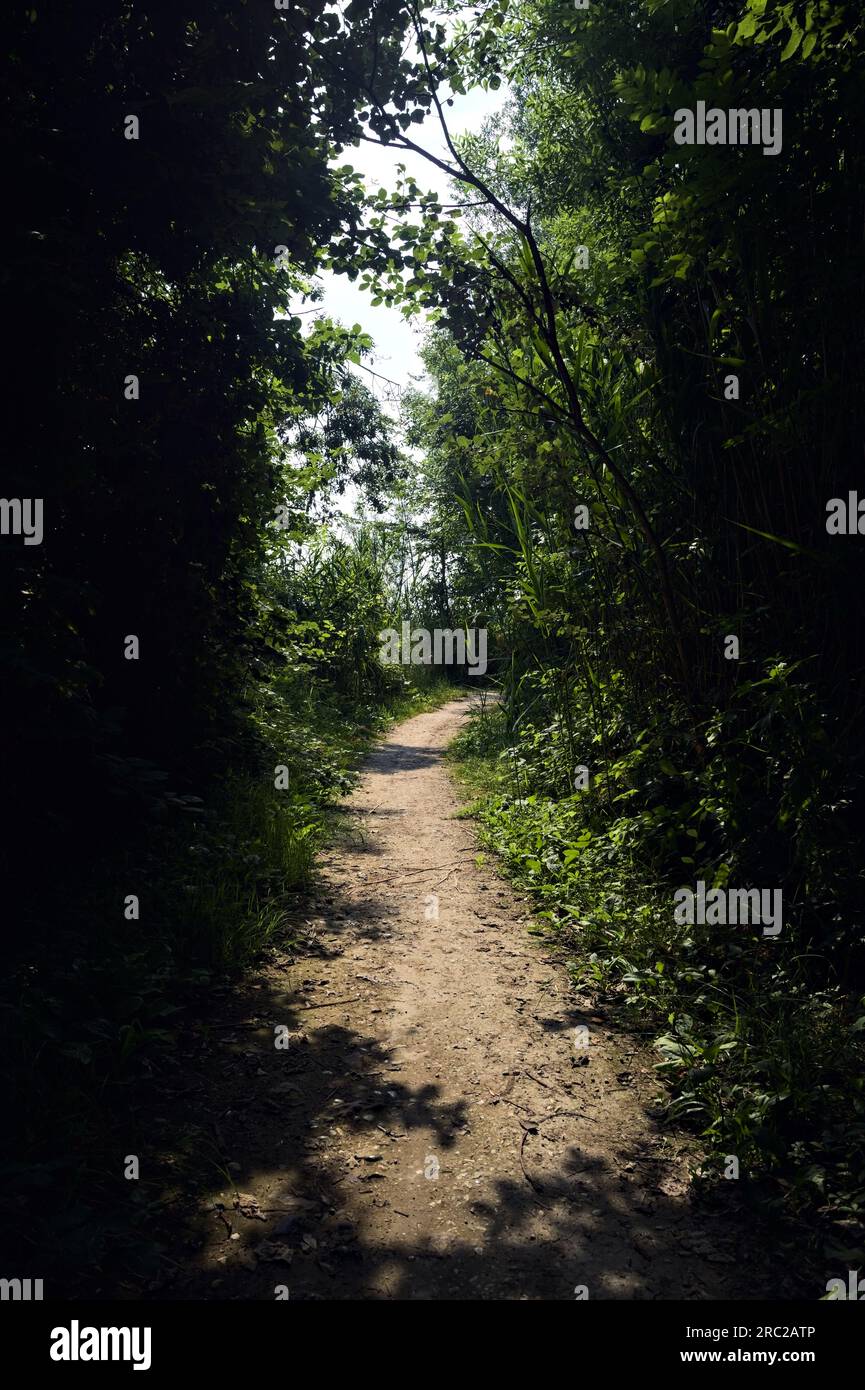 Trail between bushes in a park by the shore of a river in the italian ...