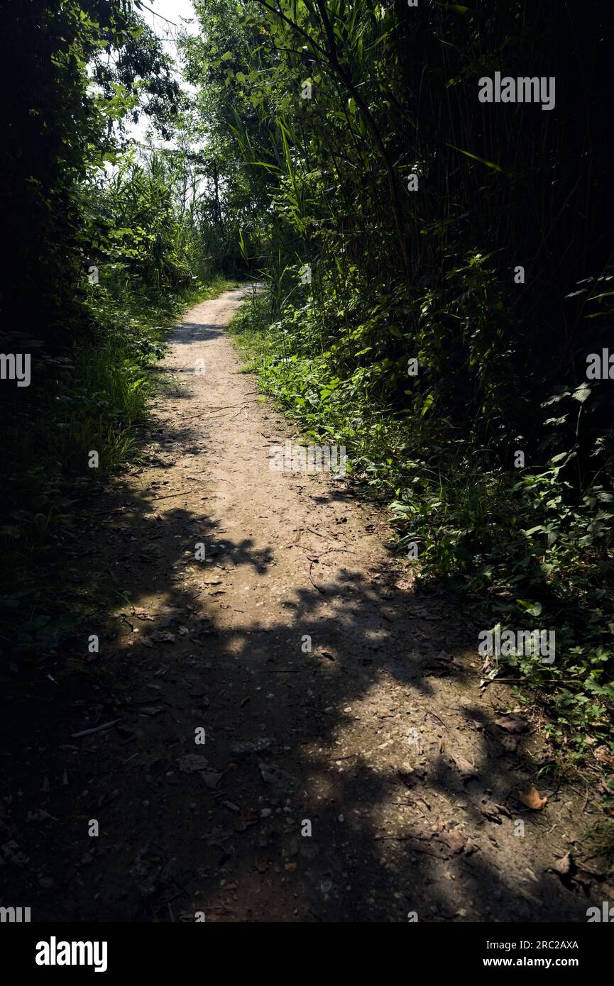 Trail between bushes in a park by the shore of a river in the italian ...