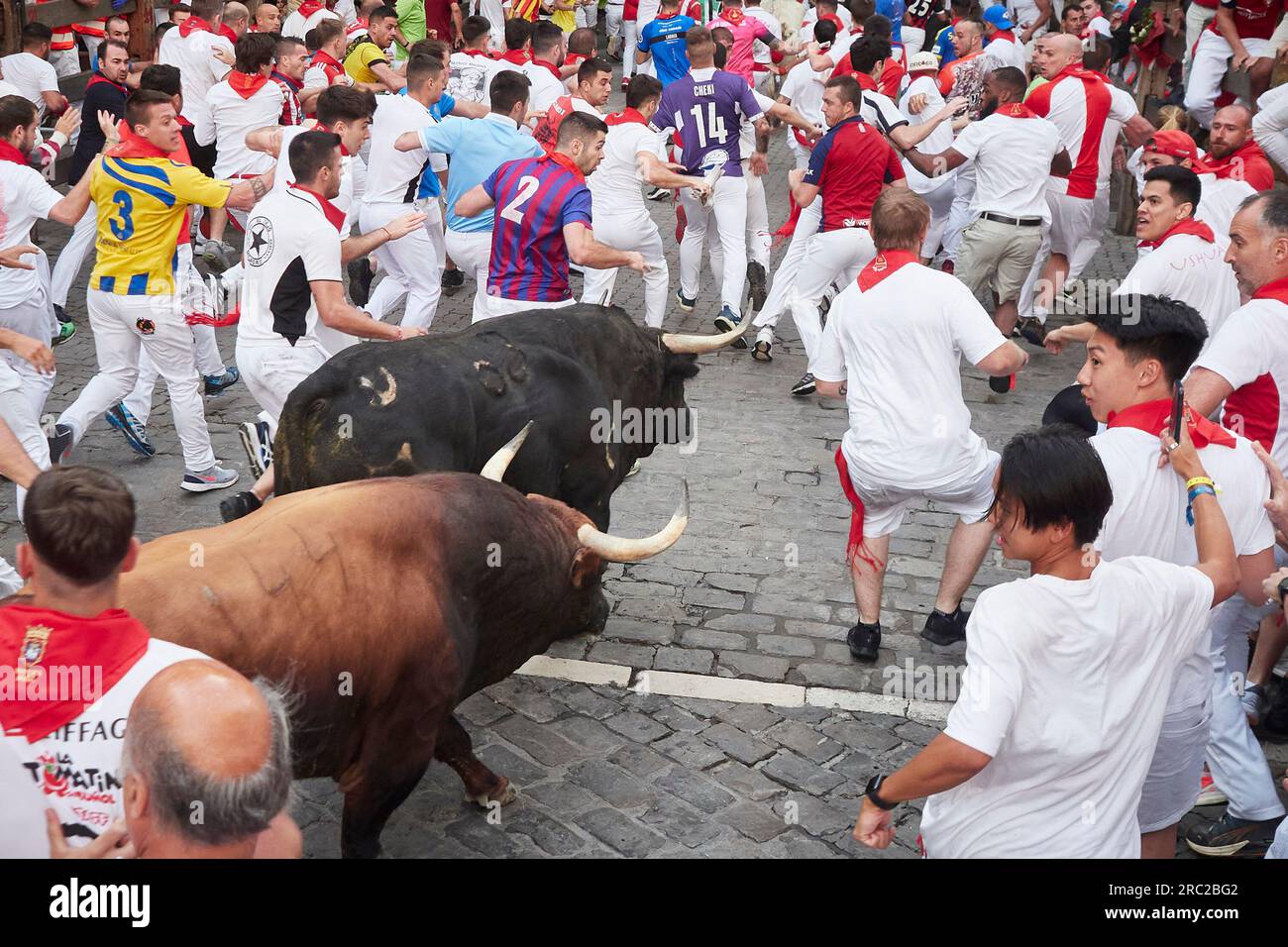 Runners next to the bulls during the sixth running of the bulls of the ...