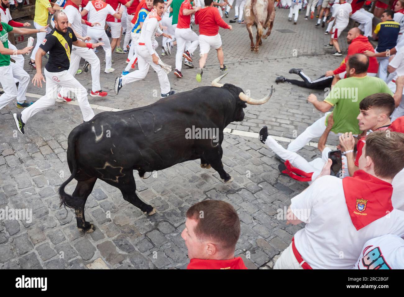 A bull during the sixth running of the bulls of the San Fermin 2023 ...