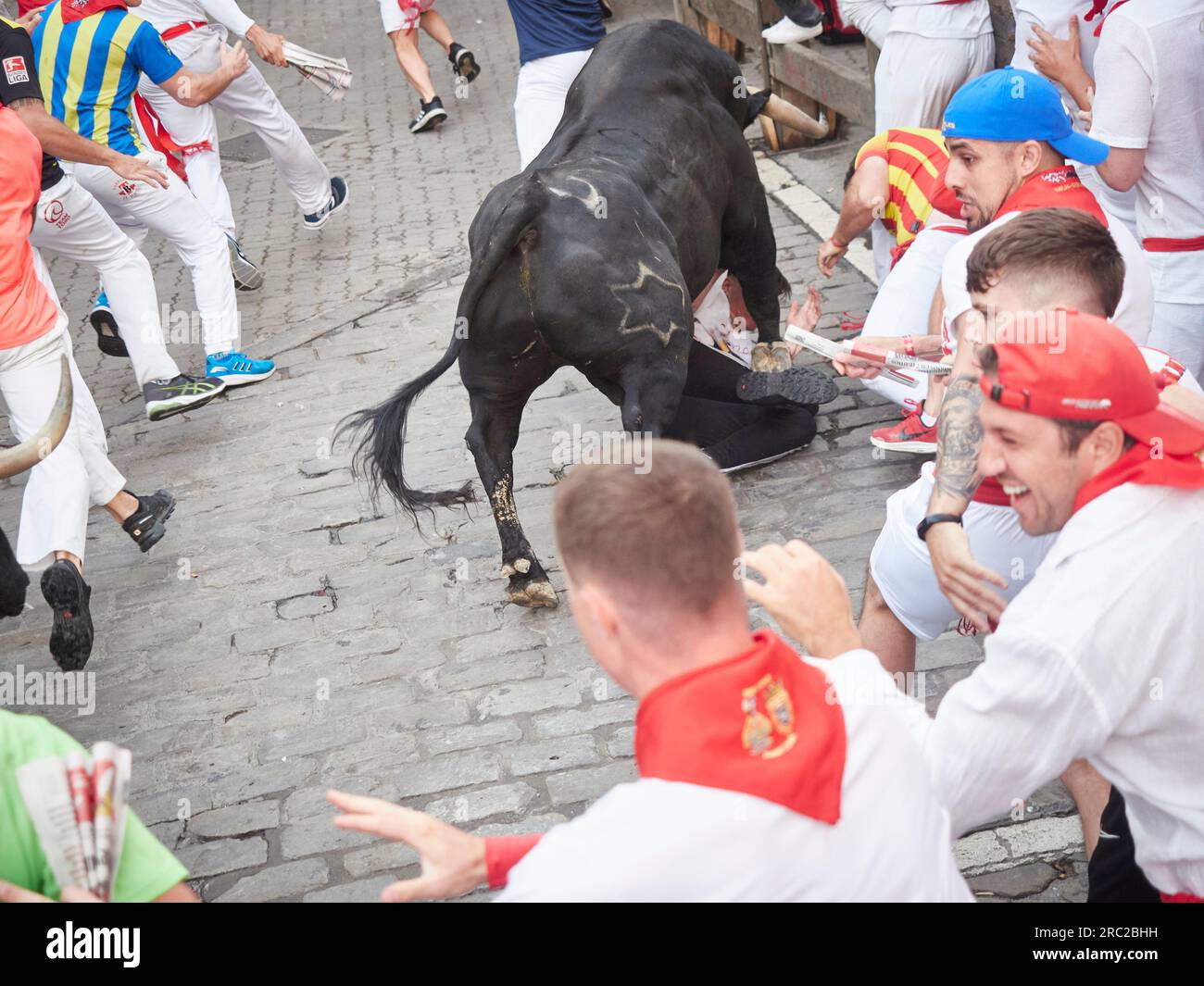 A bull during the sixth running of the bulls of the San Fermin 2023 ...