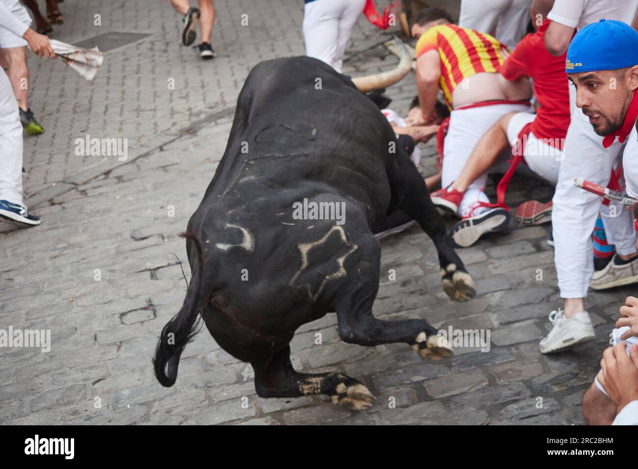 A bull during the sixth running of the bulls of the San Fermin 2023 ...