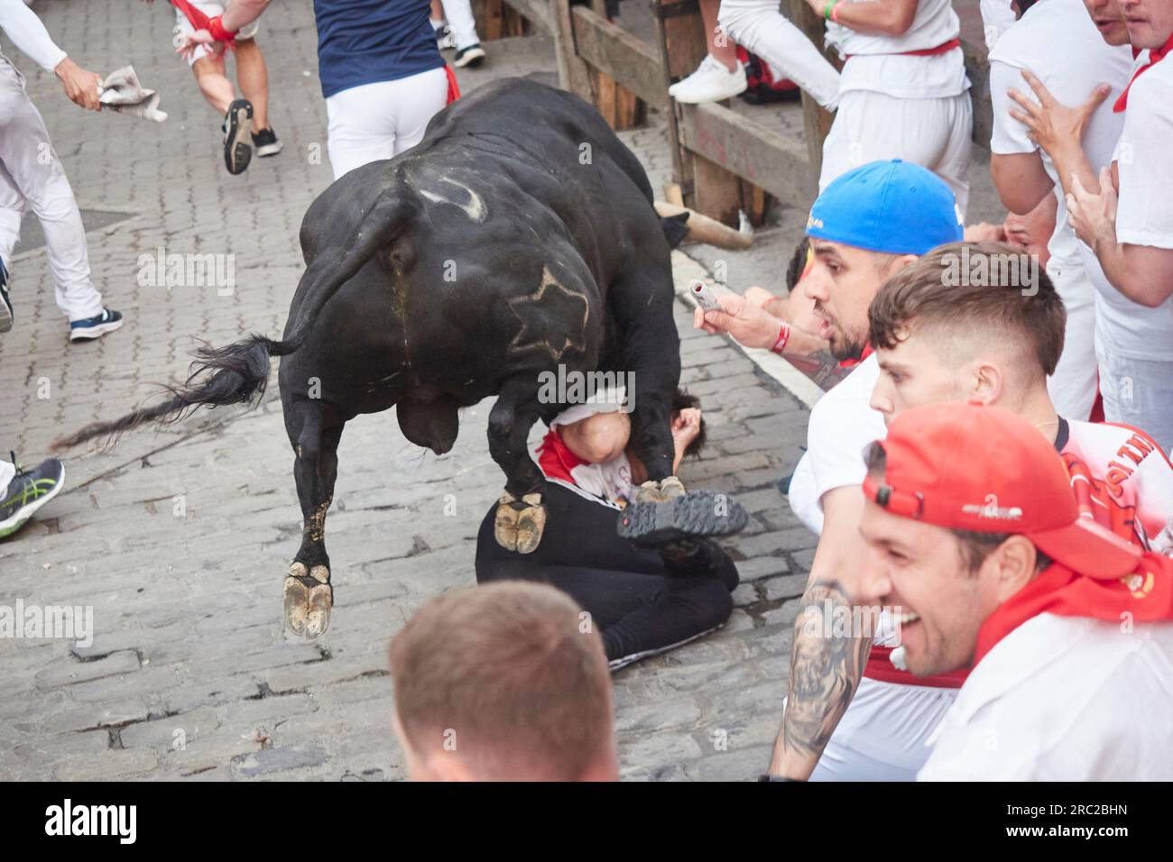 A bull during the sixth running of the bulls of the San Fermin 2023 ...