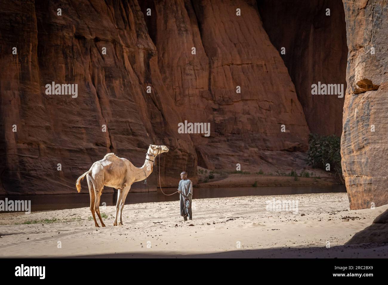 In the awe-inspiring Guelta d'Archei canyon, a young boy takes on the ...